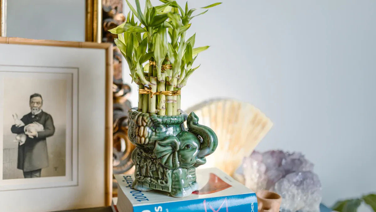 Feng Shui Spelling and Meaning Explained for Beginners – Karmabless